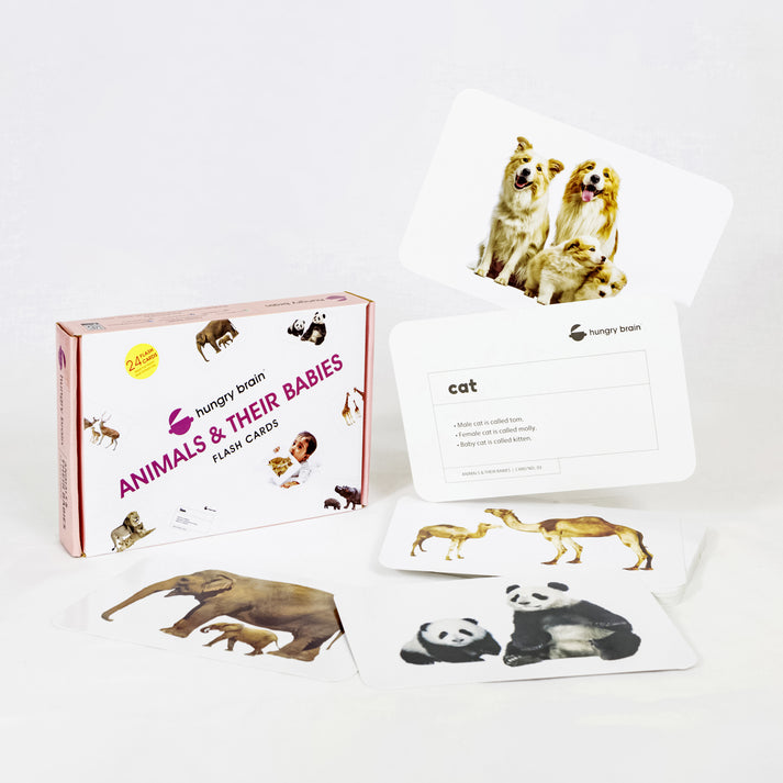 Animals & Their Babies Flashcards – Build Early Animal Knowledge ...